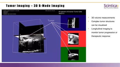Live Demonstration Understanding The Complimentary Nature Of Bli
