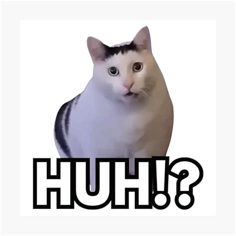 Huh Cat Meme Photographic Print For Sale By Yessytenra Redbubble