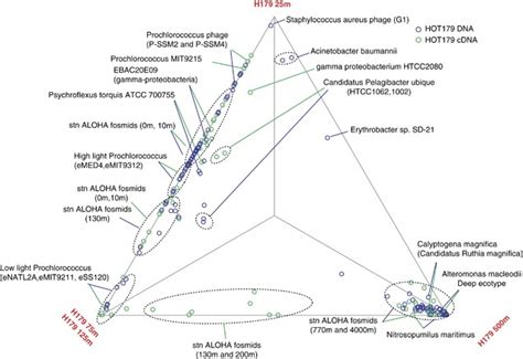 Integrated Metatranscriptomic And Metagenomic Analyses Of Stratified Microbial Assemblages In