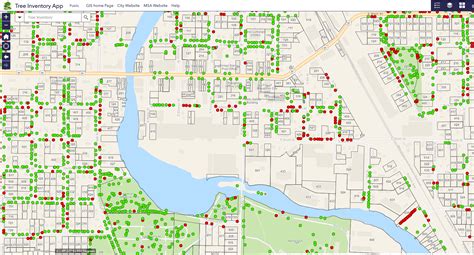 Urban Forestry Management How Gis Streamlines Tree Inventory And