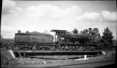 Nswgr Z19 Class Locomotive No 1901 Fitted With Baldwin Tender On