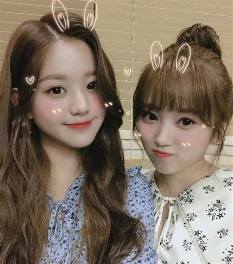 Pin De Bob Bob En Iz One