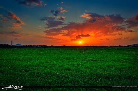 Grassy Field Sunset