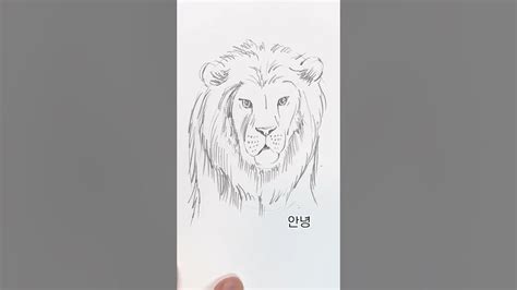 사자 얼굴 그리기 Youtube