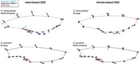 Forefemur Shape Deformations Associated With Mating Success Under