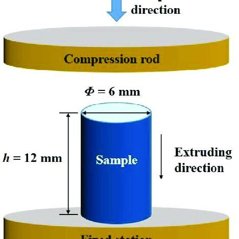 Schematic Diagram To Show The Setup Of Compression Test Download