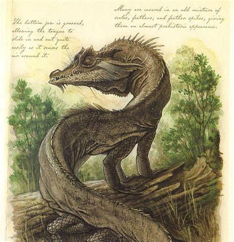 Wyrm These Serpentine Dragons Are Found All Around Europe And Will