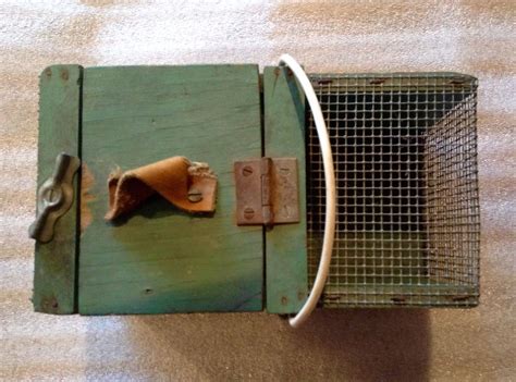 Vintage Primitive Wood And Screen Bug Insect Or Cricket Container Box