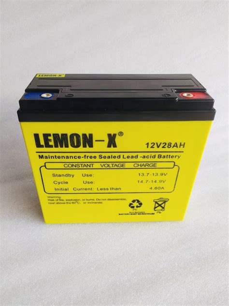 V Ah E Bike Battery At Piece E Bike Batteries In New Delhi Id
