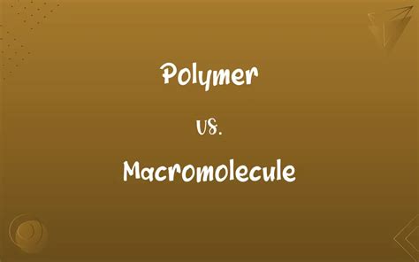 Polymer Vs Macromolecule Know The Difference