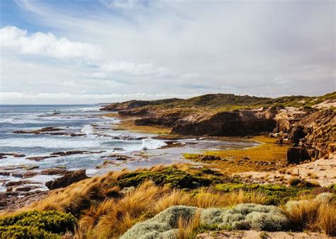 Reef Restoration And Adaptation Program Rrap Adaptus