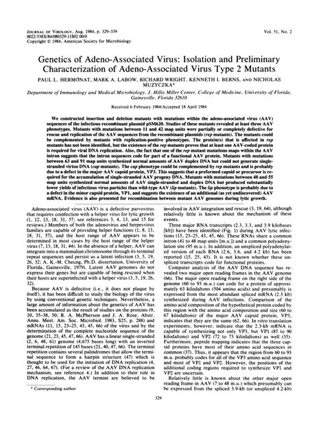 Pdf Genetics Of Adeno Associated Virus Isolation And Preliminary