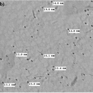 DLS Histograms Of TiO2 Nanoparticles At Different Irradiation Doses Download Scientific
