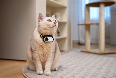 Insta S GO S Is Its New Tiny Wearable Camera With K Video