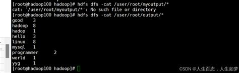 大数据处理从零开始————3hadoop伪分布式和分布式搭建hadoop 伪分布式 Csdn博客