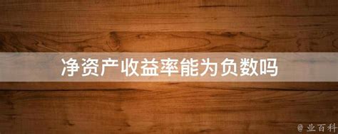 净资产收益率能为负数吗 业百科