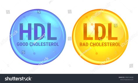 Vector Set Good Hdl Bad Ldl Stock Vector Royalty Free 1858154038 Shutterstock