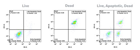 Cytek Northen Lights