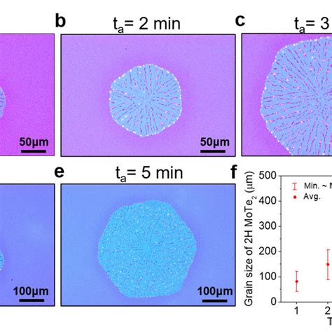 Fig S4 Time Evolution Ta 1 To 5 Min Of Domain A E Morphology And