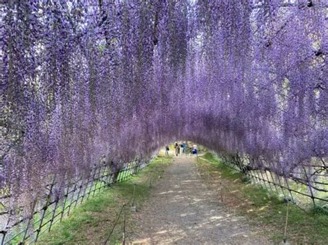 【日本】福岡自由行｜必訪博多景點top15｜歷史、文化與自然景觀一次玩遍！