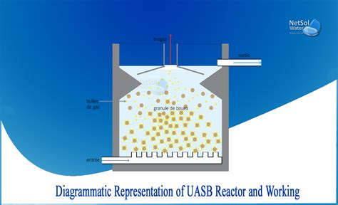 Uasb Reactor Cfd Simulation Of Anaerobic Granular Sludge Reactors A