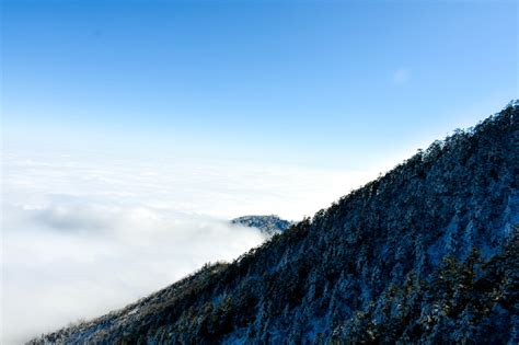 西岭雪山旅途de猫 站酷zcool