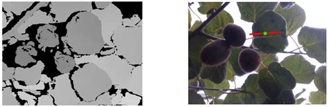 A Method Of Grasping Detection For Kiwifruit Harvesting Robot Based On Deep Learning