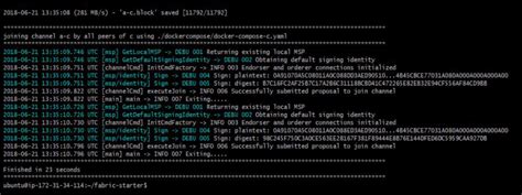 deploying a multi node hyperledger fabric network in 5 steps altoros