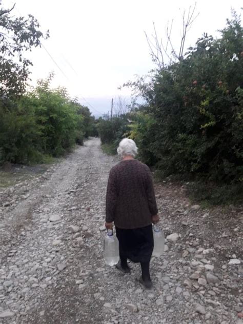 წყალმომარაგებისა და დაზიანებული გზების პრობლემები სიღნაღის მუნიციპალიტეტში მოსახლეობა