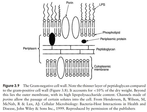 The Procaryotic Cell And Its Structure