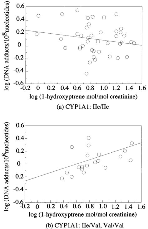 The Correlation Between Urinary 1 Hydroxypyrene Levels And Aromatic Dna