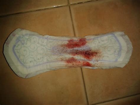 Pad Of My Friend Porn Pictures Xxx Photos Sex Images 1102881 Pictoa