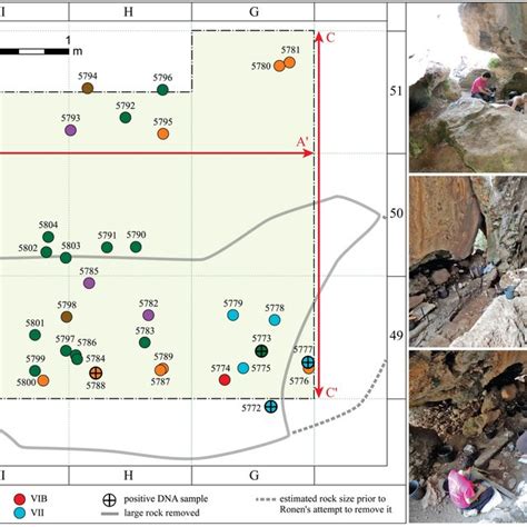 Locations Of Sediment Samples Collected For Dna Analyses Shown On A Download Scientific