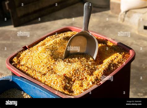 Ground Corn Is The Product Of Grinding Semillina Broken Corn The Production Is Used Entirely