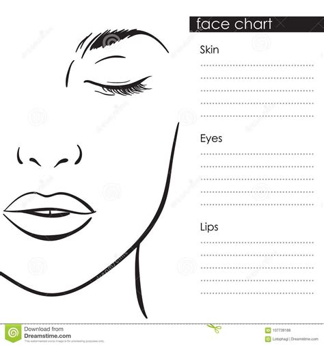 Illustration About Beautiful Woman Portrait Face Chart Makeup Artist