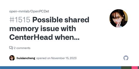 Possible Shared Memory Issue With Centerhead When Assigningtargets For Multiple Detection Heads