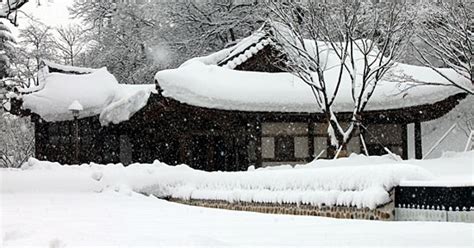 103년만의 폭설 강릉의 호소 강릉여행이 곧 자원봉사다