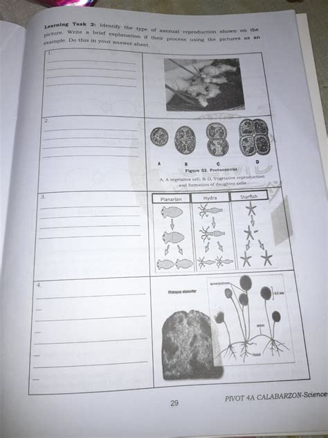 Answered Learning Task 2 Identify The Type Of… Bartleby