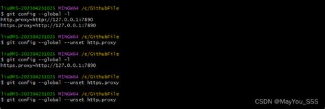 Git Clone报错。fatal Unable To Access Failed To Connect To 127001