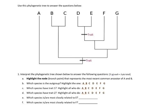 Use This Phylogenetic Tree To Answer The Questions Below Trait Trait 1 Interpret The