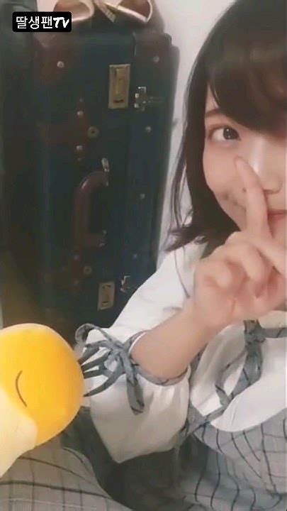 고라파덕과의 비밀 호시노 리코 Shorts Youtube