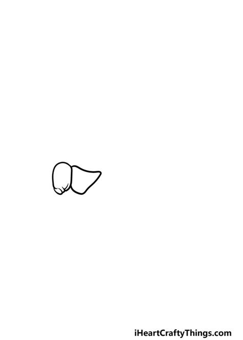 Grasshopper Drawing How To Draw A Grasshopper Step By Step