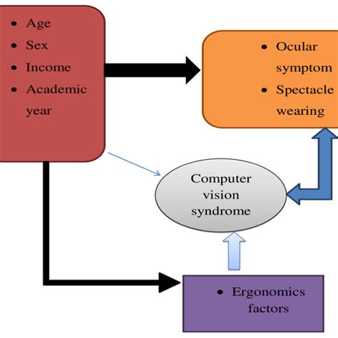 Showing The Conceptual Framework Of The Independent Variables