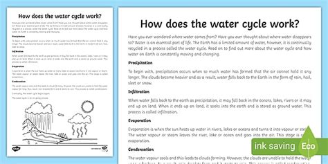 How Does The Water Cycle Work Water Cycle Information