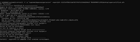 Certutil Importer Exporter Les Certificats De Windows En Ligne De Commandes Malekal