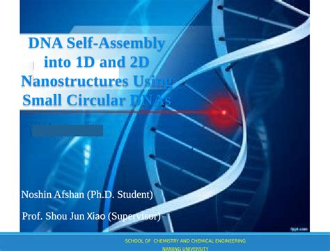 Pdf Dna Self Assembly Into 1d And 2d Nanostructures Using Small Circular Dnas