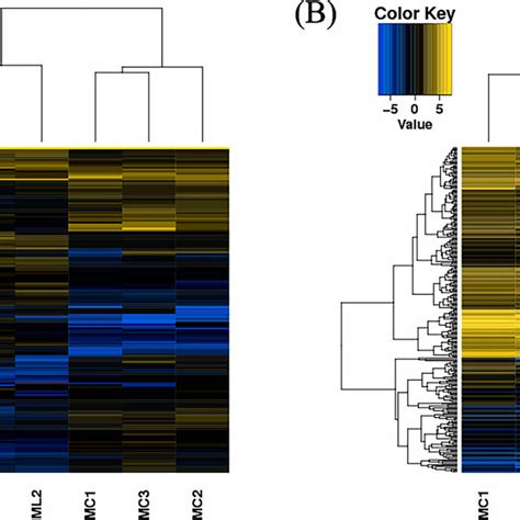 Hierarchical Clustering Analysis Of De Lncrnas And De Mrnas A