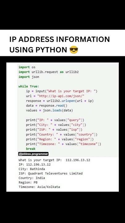 Ip Address Information Using Python Ipaddress Python Shorts Youtube