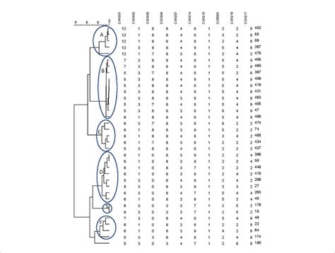 Clustering Results Of B Lactamase Producing E Coli Using 10 Loci