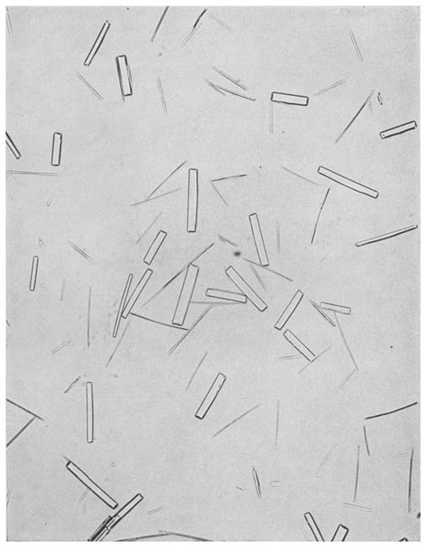 Crystals Of Pyrophosphatase Three Times Crystallized × 109 Download Scientific Diagram